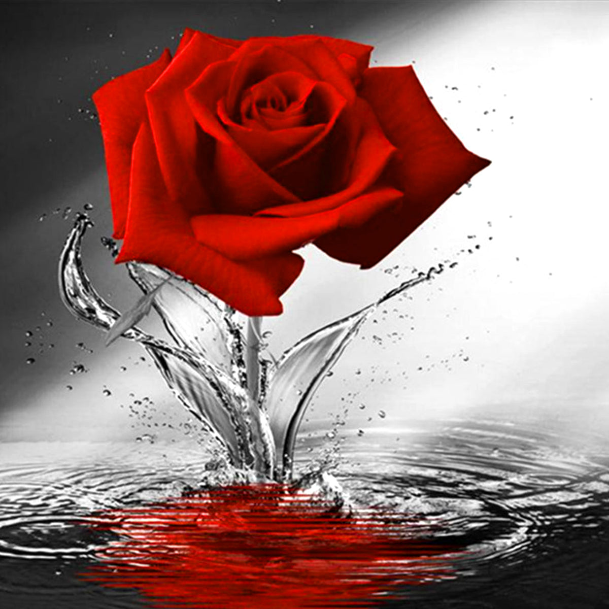 FULLY BEADED! PURE RED ROSE 40*40cm – Rhinestone Art